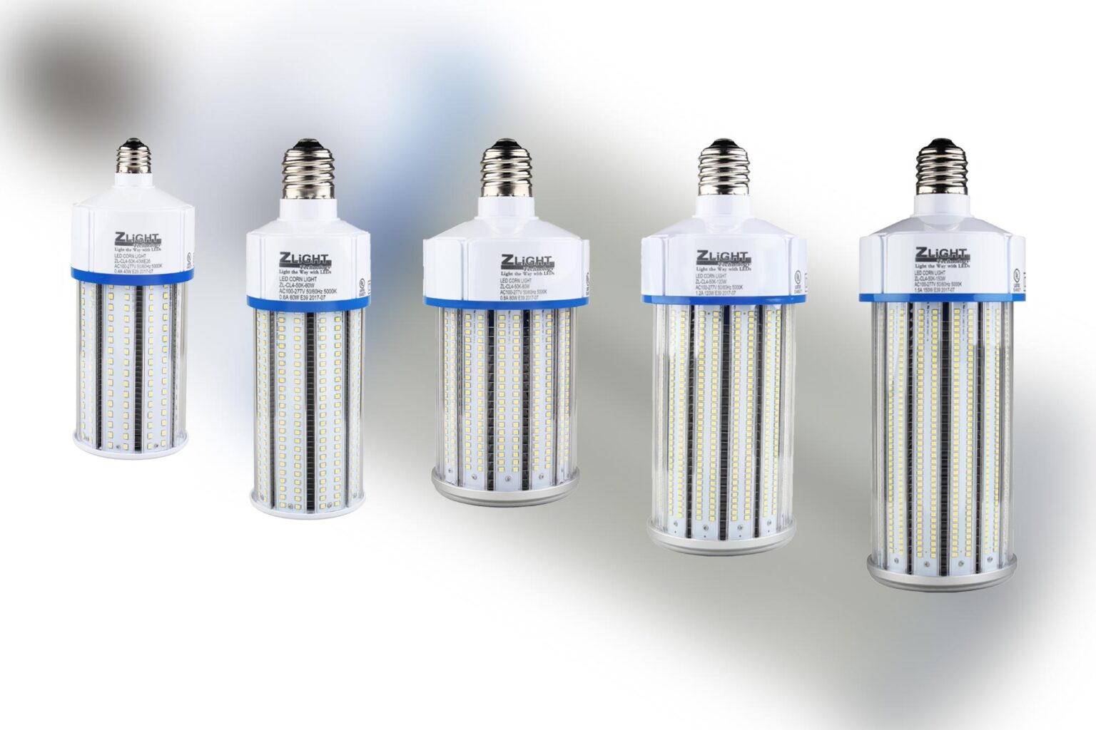 Zlight Technology – Light the Way with LEDs